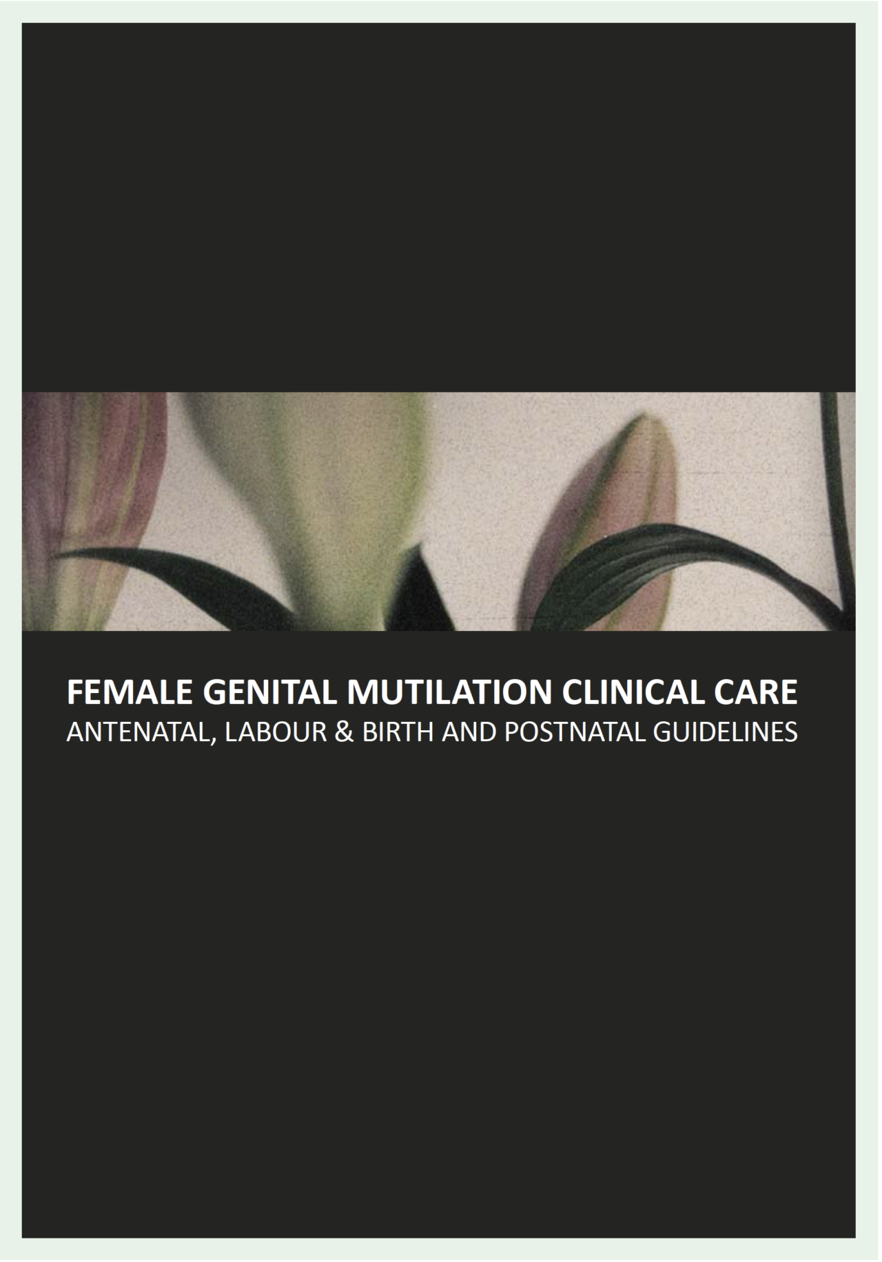 Resources for Health Professionals - Female Genital Mutilation and New ...