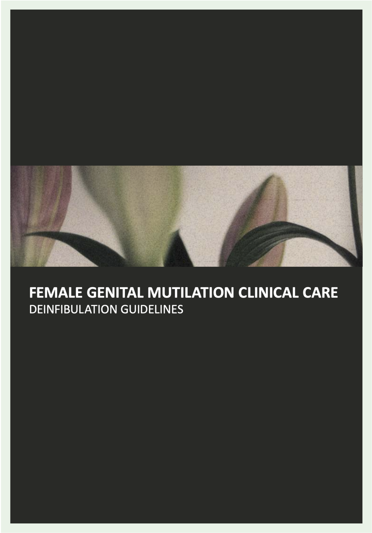Resources for Health Professionals - Female Genital Mutilation and New ...