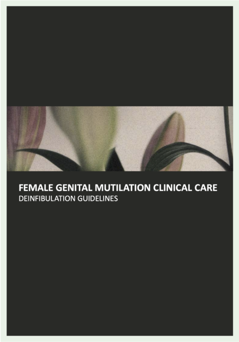 Resources For Health Professionals Female Genital Mutilation And New