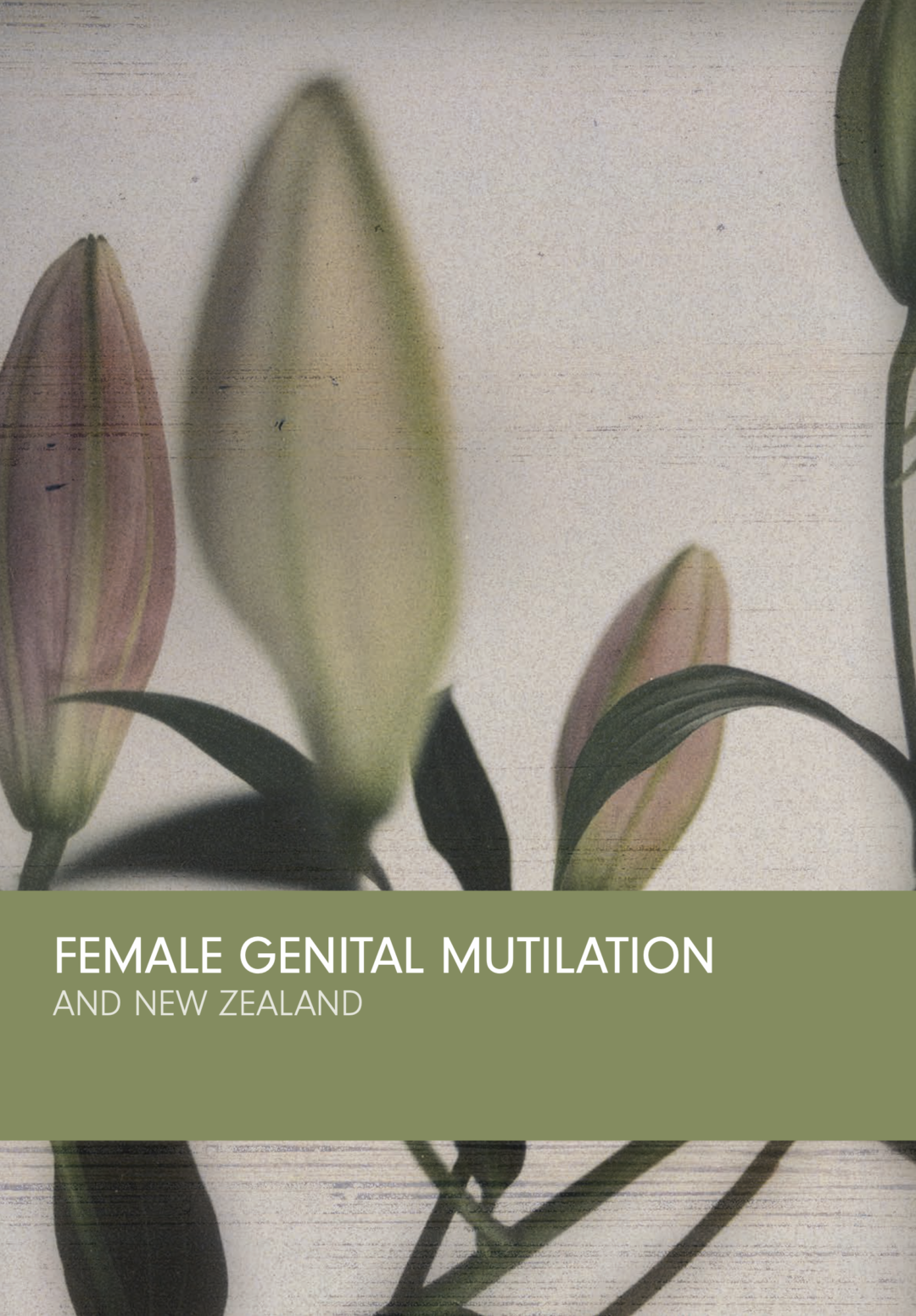 Child Protection Professionals - Female Genital Mutilation and New Zealand